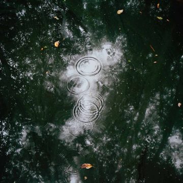 Shane Lavalette's Ode To The American South - IGNANT