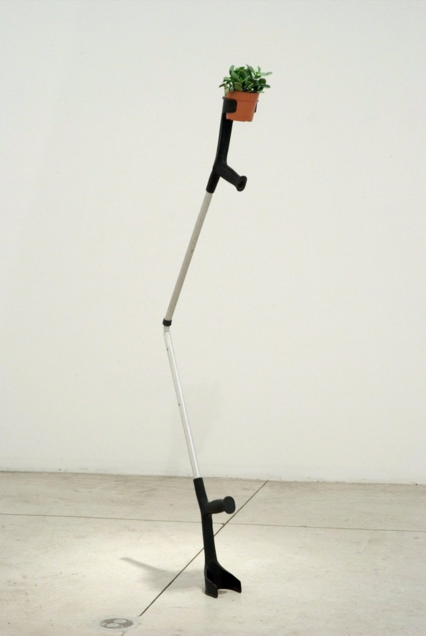 The Mundane Meets The Magic In Jaime Pitarch’s Art - IGNANT