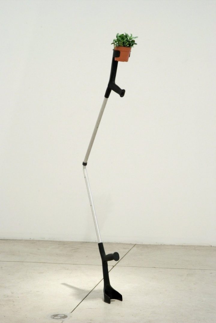 The Mundane Meets The Magic In Jaime Pitarch’s Art - IGNANT