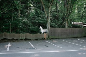Yota Yoshida Captures The Loneliness Of Transit In Tokyo - IGNANT