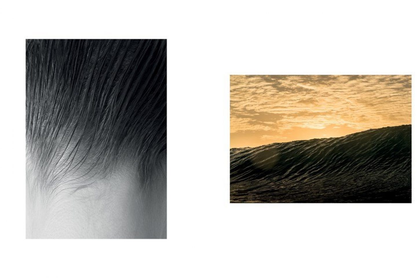 A Collaboration Capturing Beauty Inspired By Nature - IGNANT