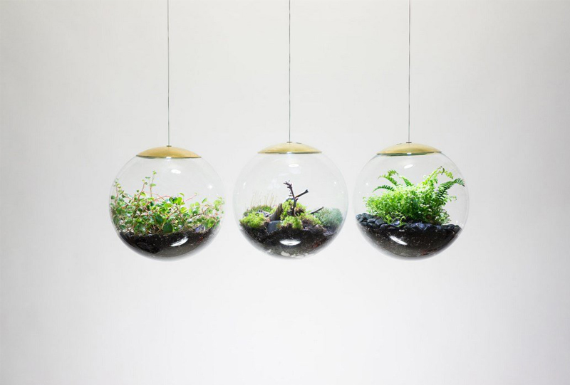 A Unique Glass Terrarium - IGNANT