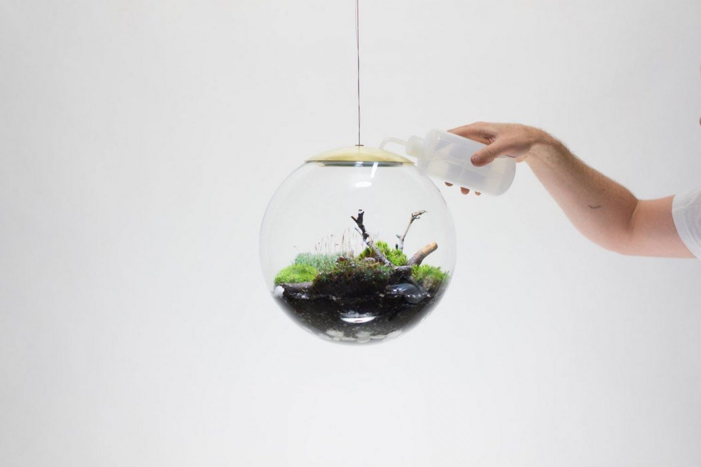 A Unique Glass Terrarium - IGNANT