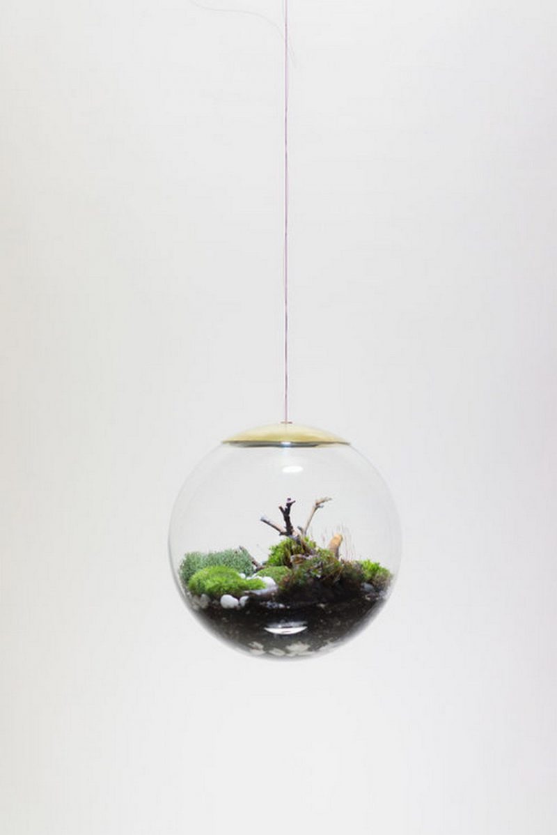 A Unique Glass Terrarium - IGNANT