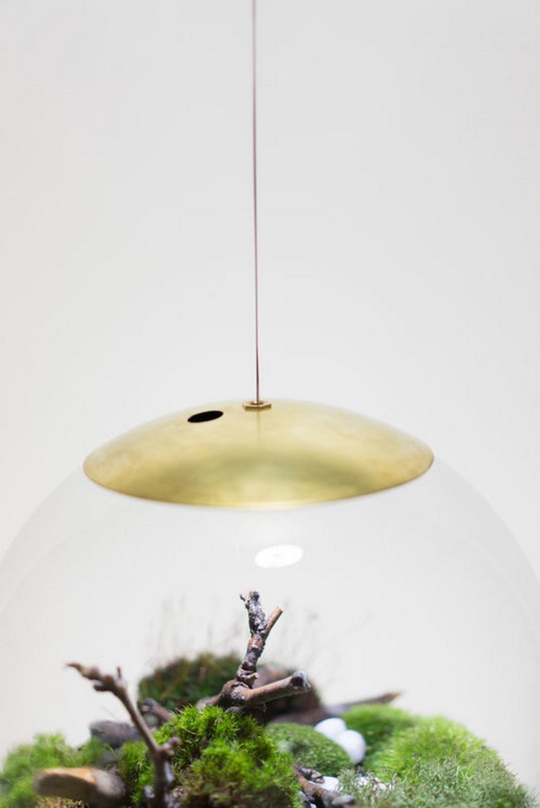 A Unique Glass Terrarium - IGNANT