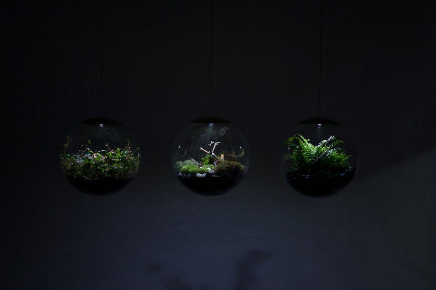 A Unique Glass Terrarium - IGNANT