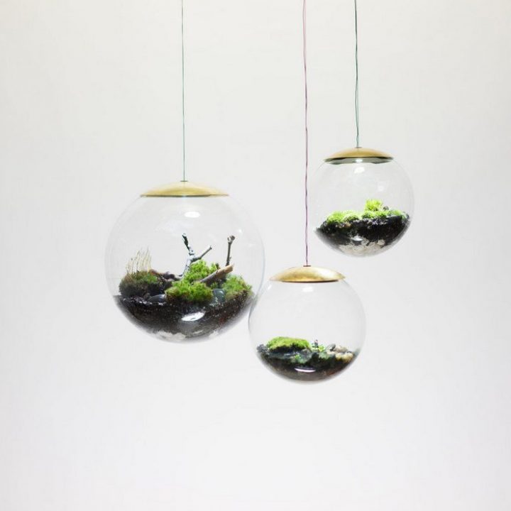 A Unique Glass Terrarium - IGNANT