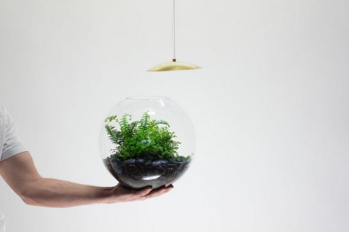 A Unique Glass Terrarium - IGNANT