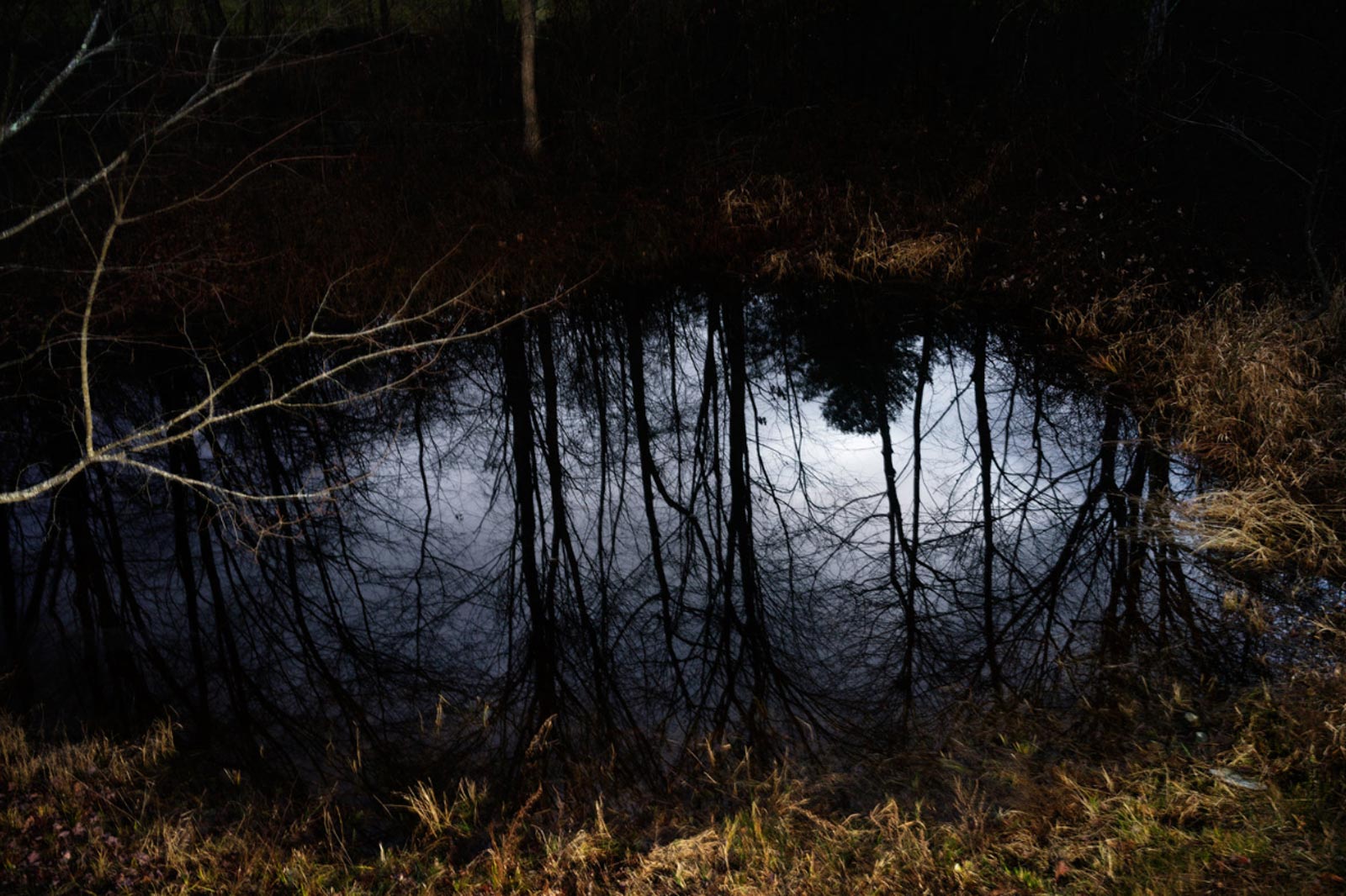 Content-Aware By Jillian Freyer - IGNANT