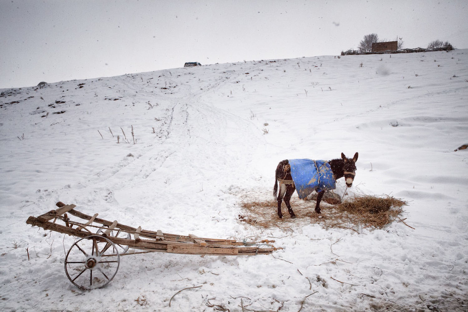 Another Life Entirely: Six Years in Turkey’s Remote Mountain Villages ...