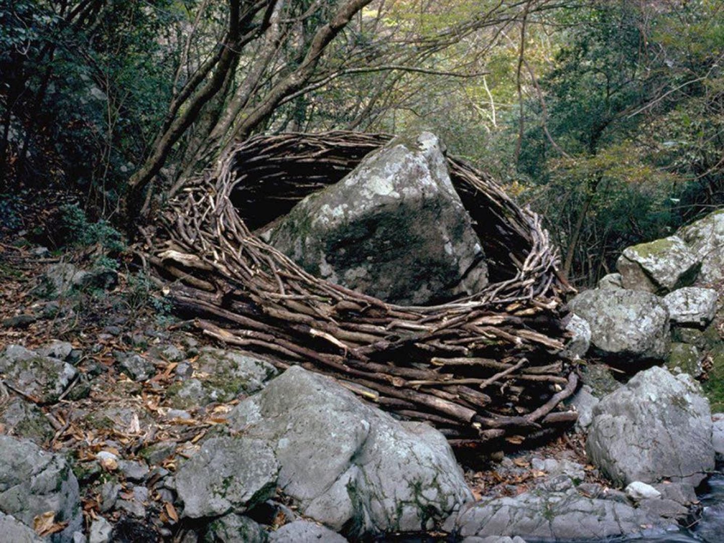 Andy Goldsworthy’s Land Art Photography - IGNANT