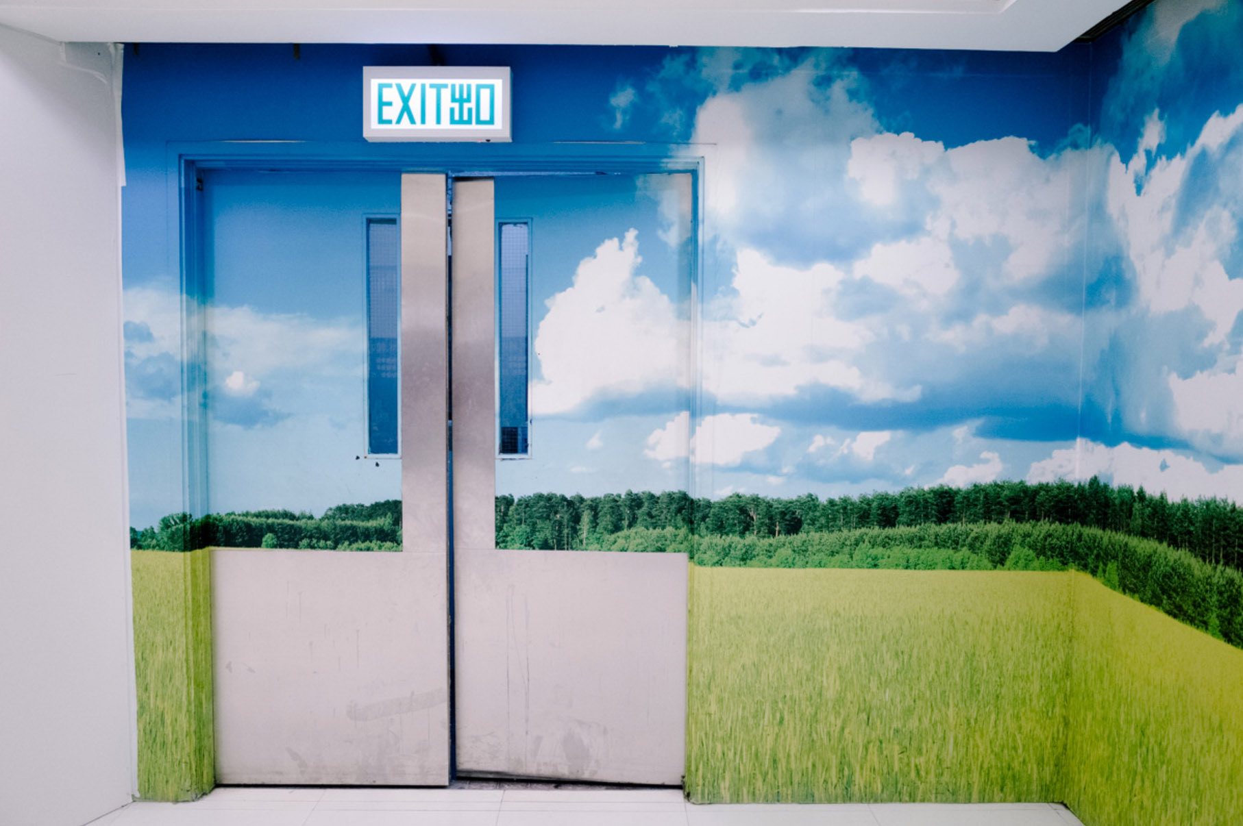 Natural Nature By Mankichi Shinshi - IGNANT