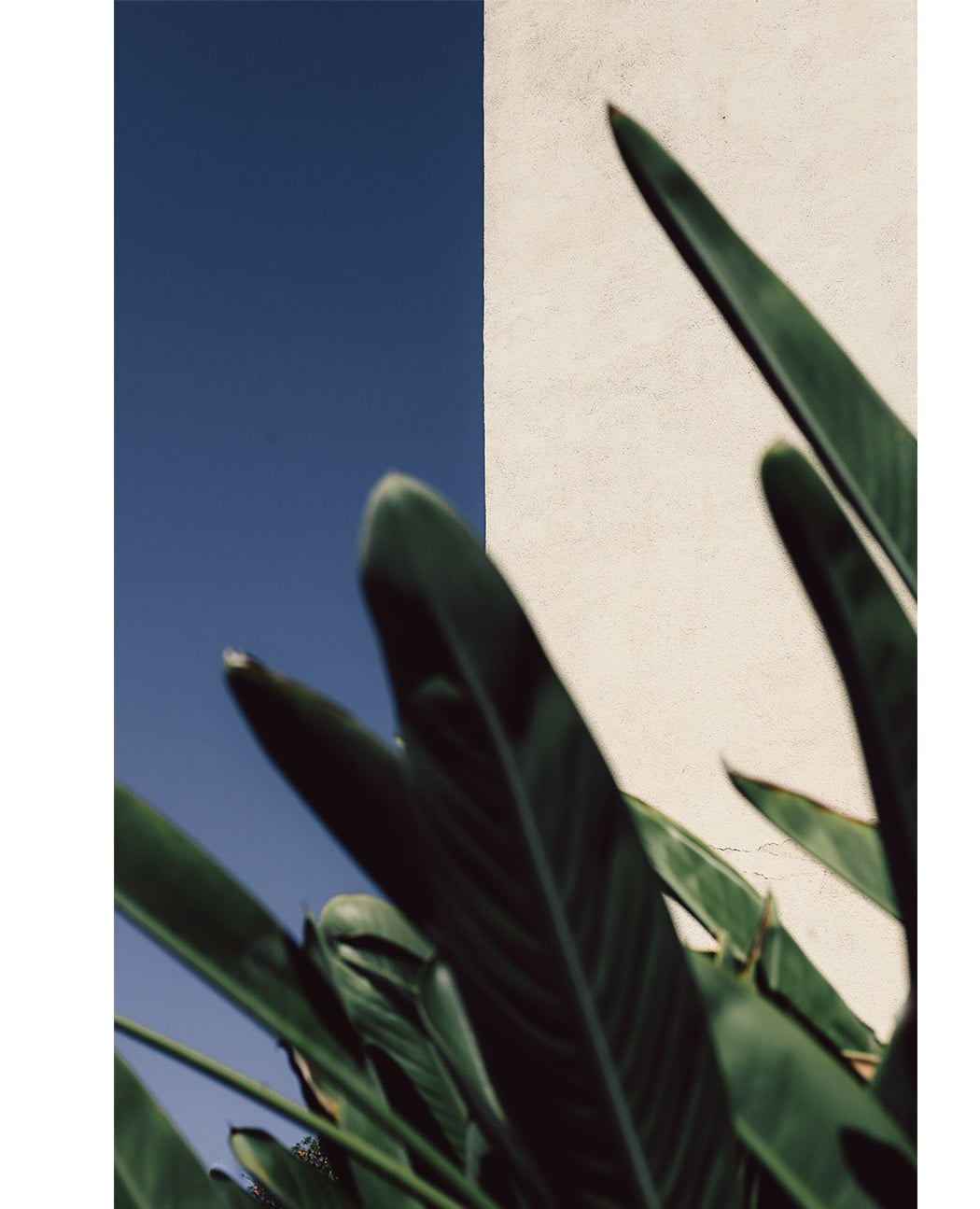 Ron Boyd’s Muses - IGNANT