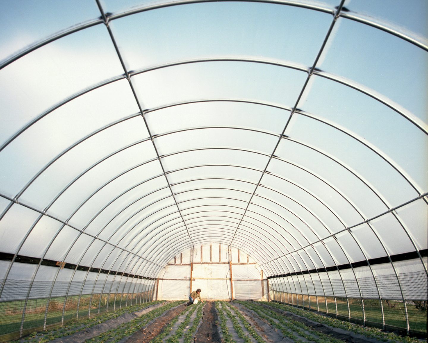 Submissions Archive - Page 13 of 104 - IGNANT