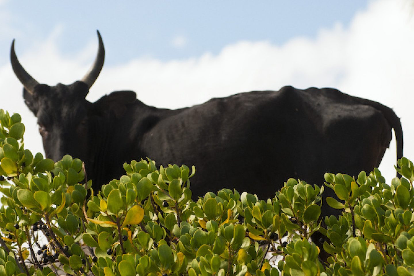 Martin Bruno Opens Up A New Perspective On The World - IGNANT