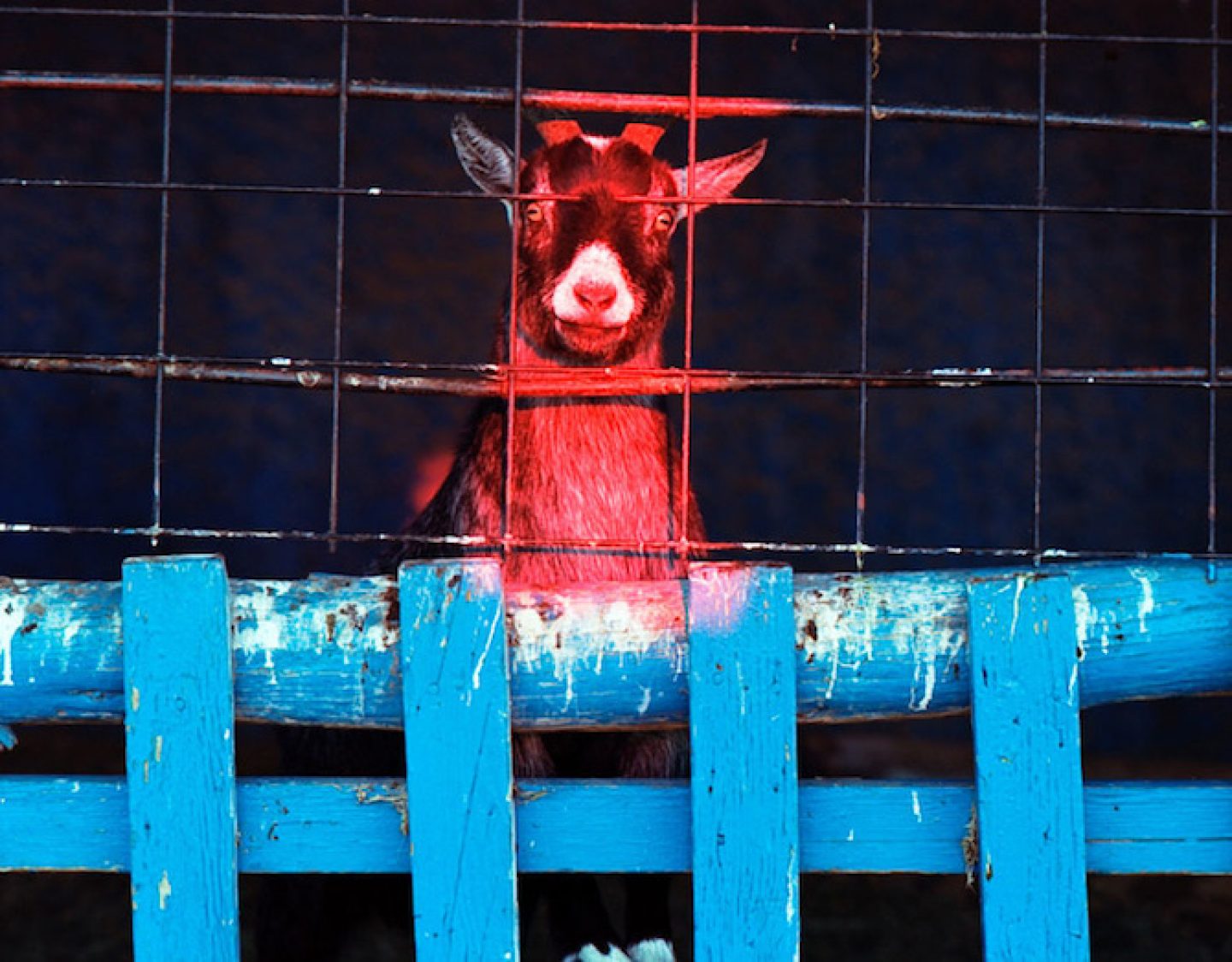 Martin Bruno Opens Up A New Perspective On The World - IGNANT