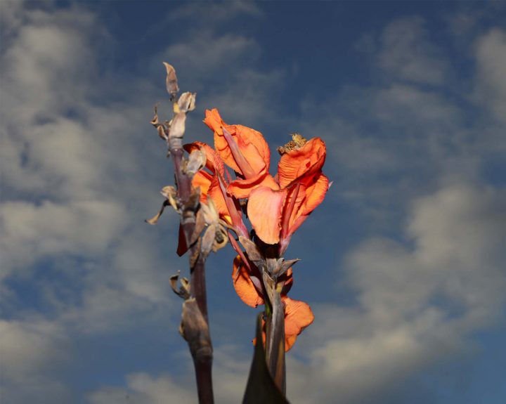 Outside The Common Circuits With Lua Ribeira - IGNANT