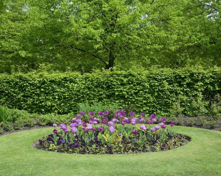 Outside The Common Circuits With Lua Ribeira - IGNANT