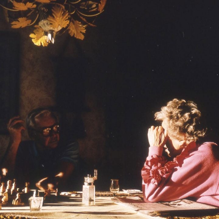 Larry Sultan's Pictures From Home - IGNANT