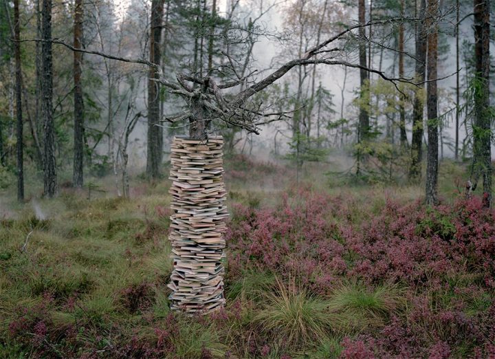 Ordinary Objects By Rune Guneriussen - IGNANT