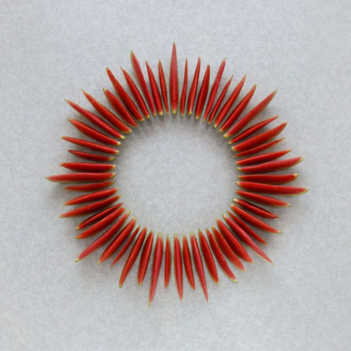 Cuttemporary Art By Sakir Gökçebag - IGNANT