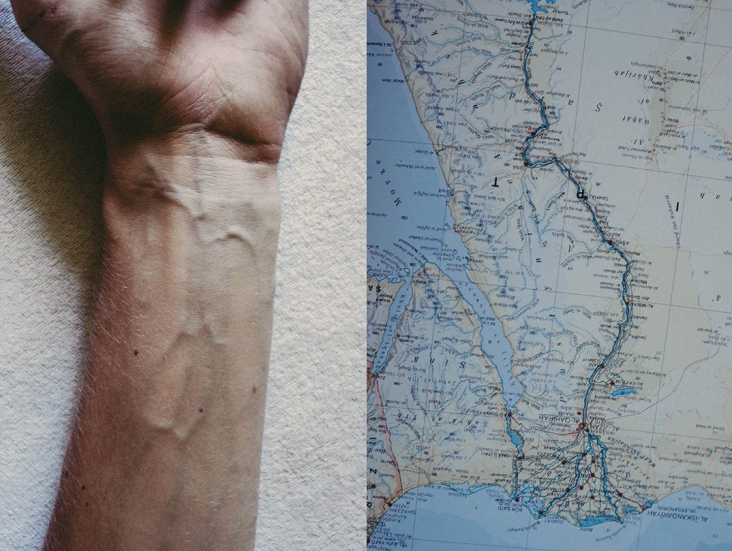 Human Vs Nature By Agnieszka Lepka - IGNANT