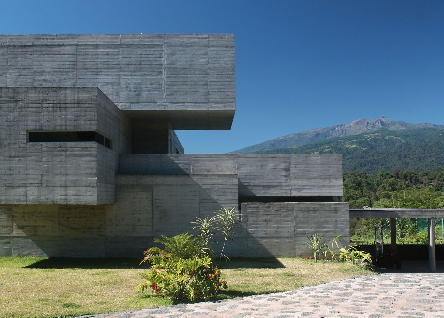 'Oyamel House' By RP Arquitectos - IGNANT