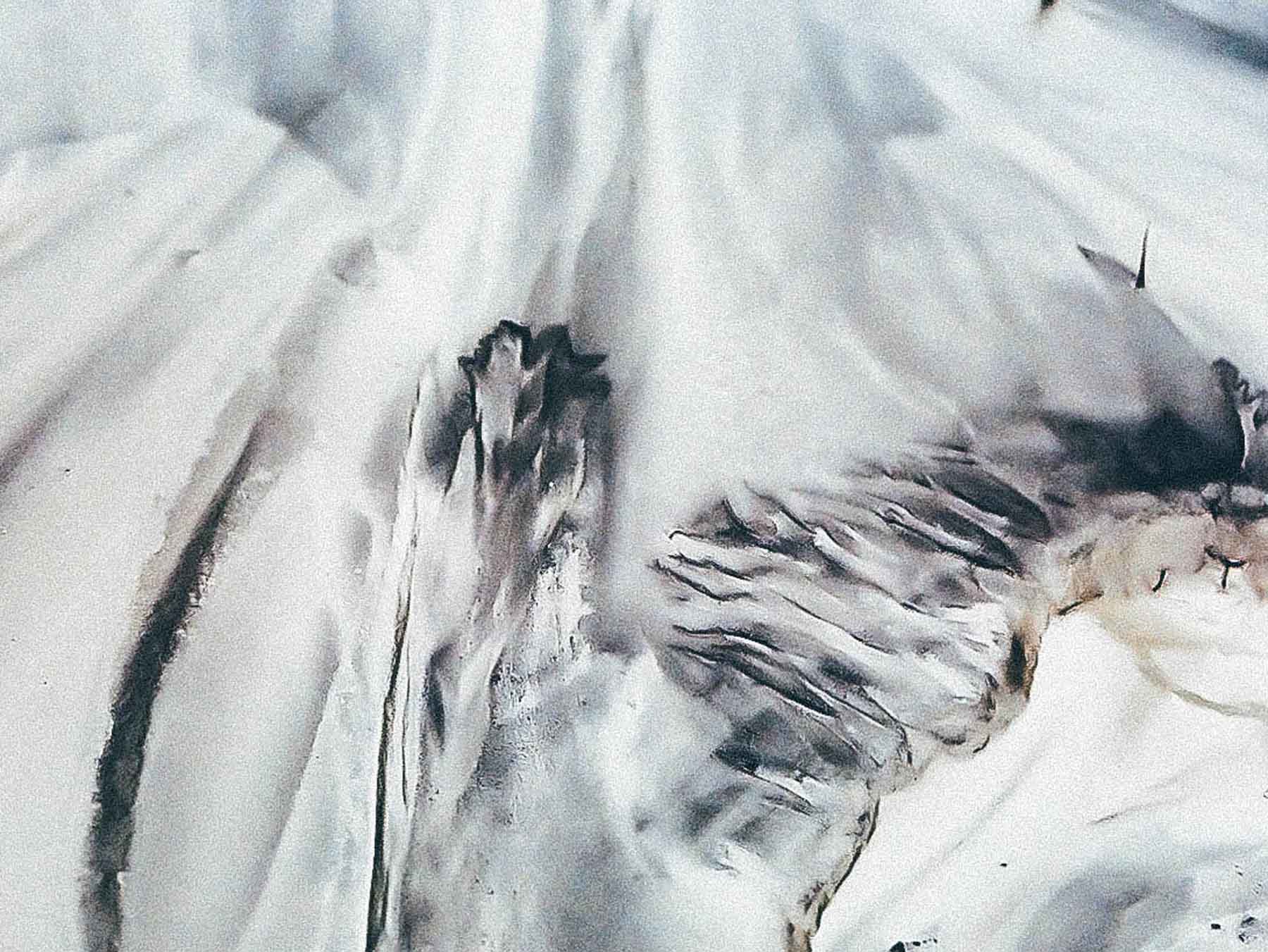 A Collaborative Ode To Summer's End - IGNANT