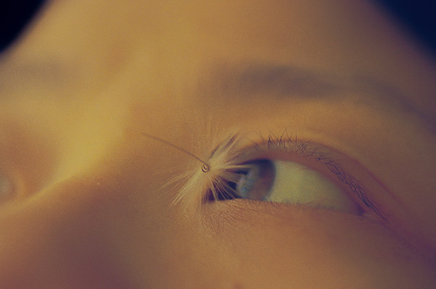 The Delicate Light Of Li Hui - IGNANT