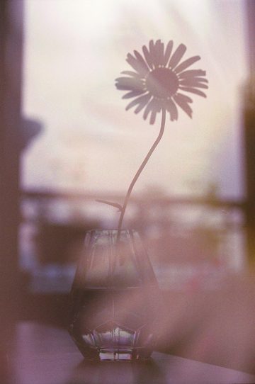 The Delicate Light Of Li Hui - IGNANT