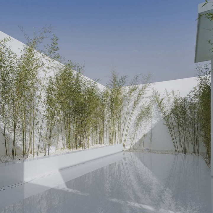 V Studio's Rooftop Bamboo Garden - IGNANT
