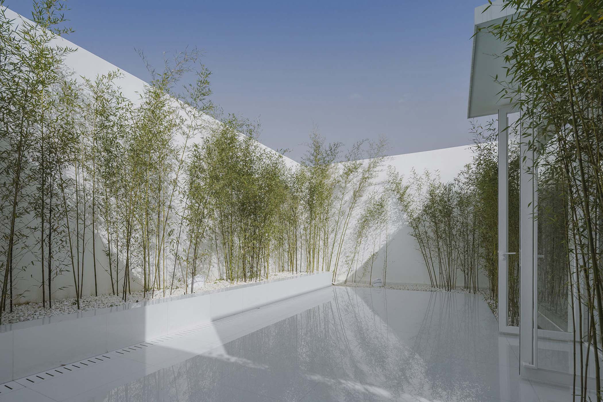 V Studio's Rooftop Bamboo Garden - IGNANT