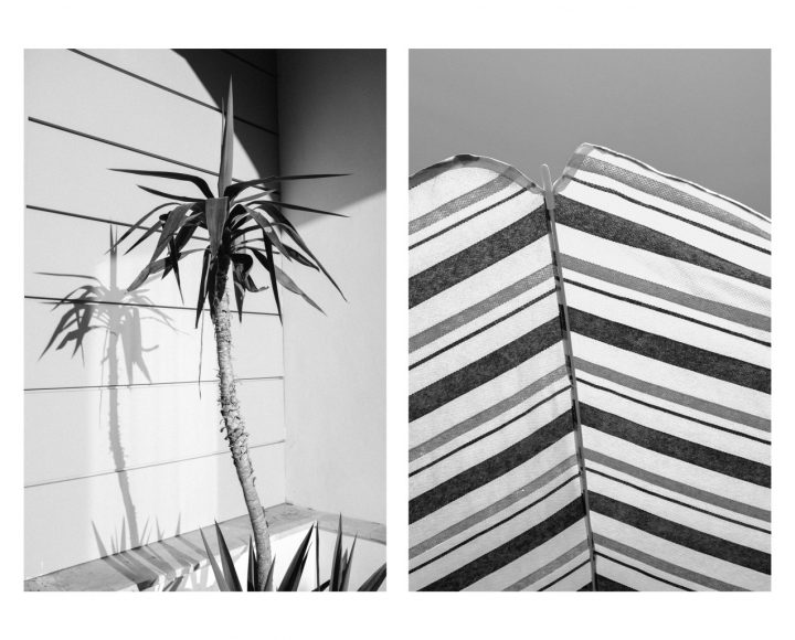 Sundrenched Scenes From Antonio Privitera