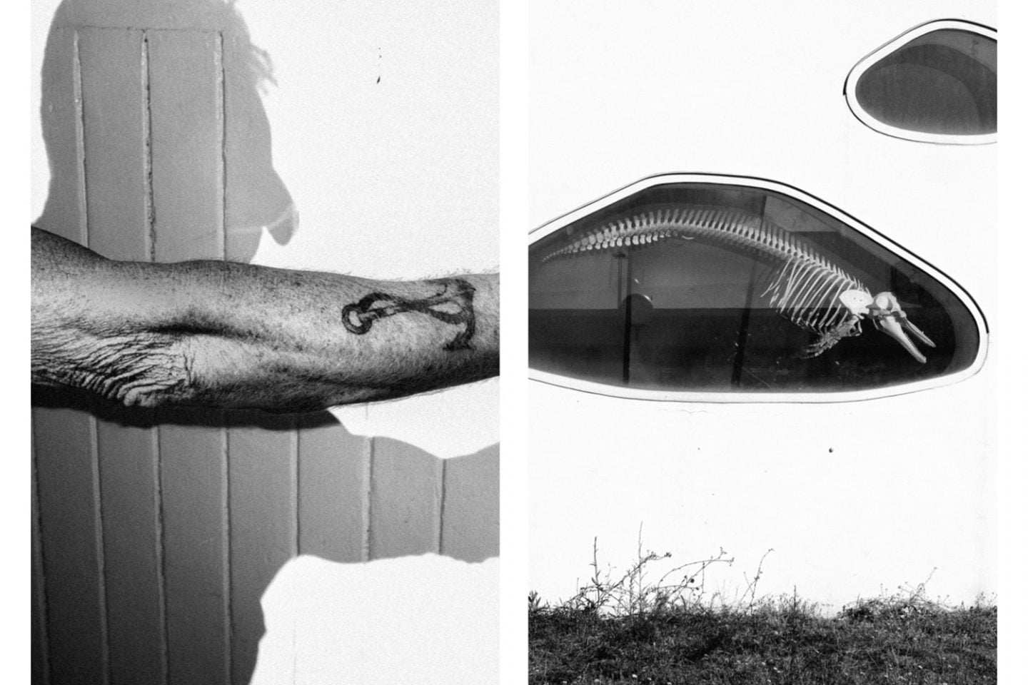 Sundrenched Scenes From Antonio Privitera