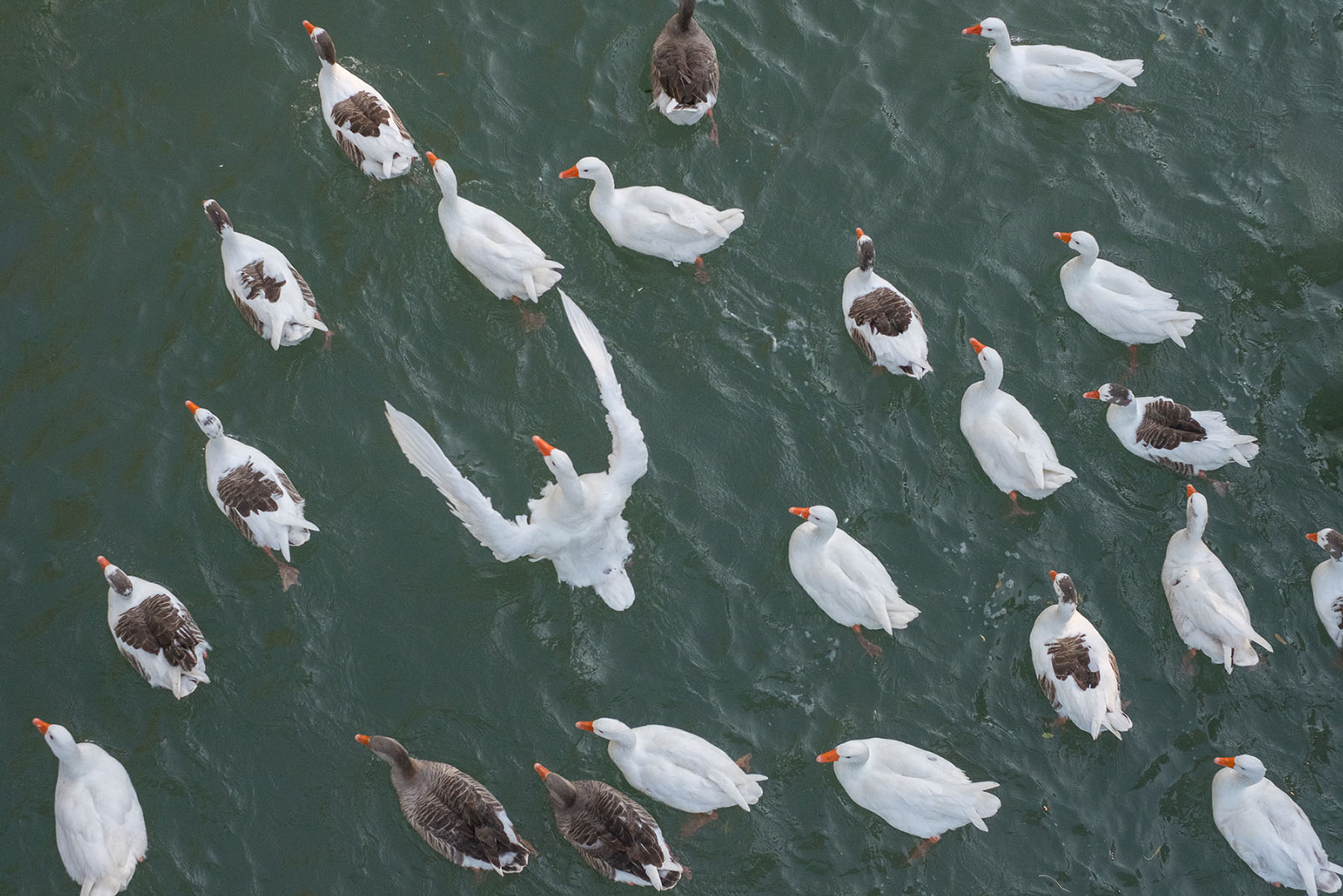 The 'Coincidence Project' By Denis Cherim - IGNANT