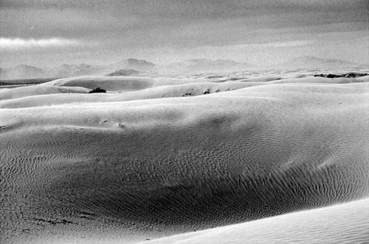 Into The Desert With Jim Mangan - IGNANT