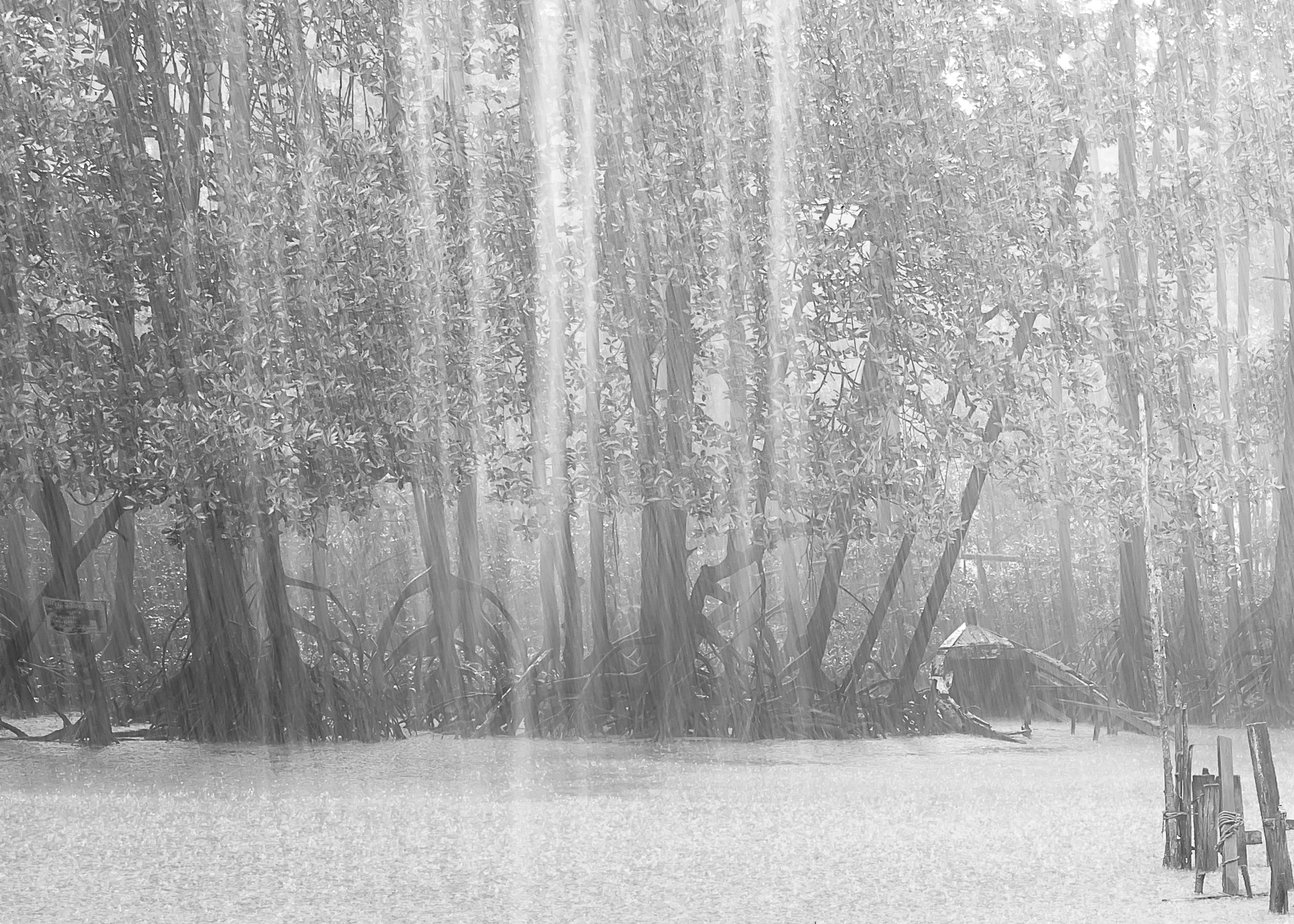 Properties Of Water By Lee Chee Wai - IGNANT