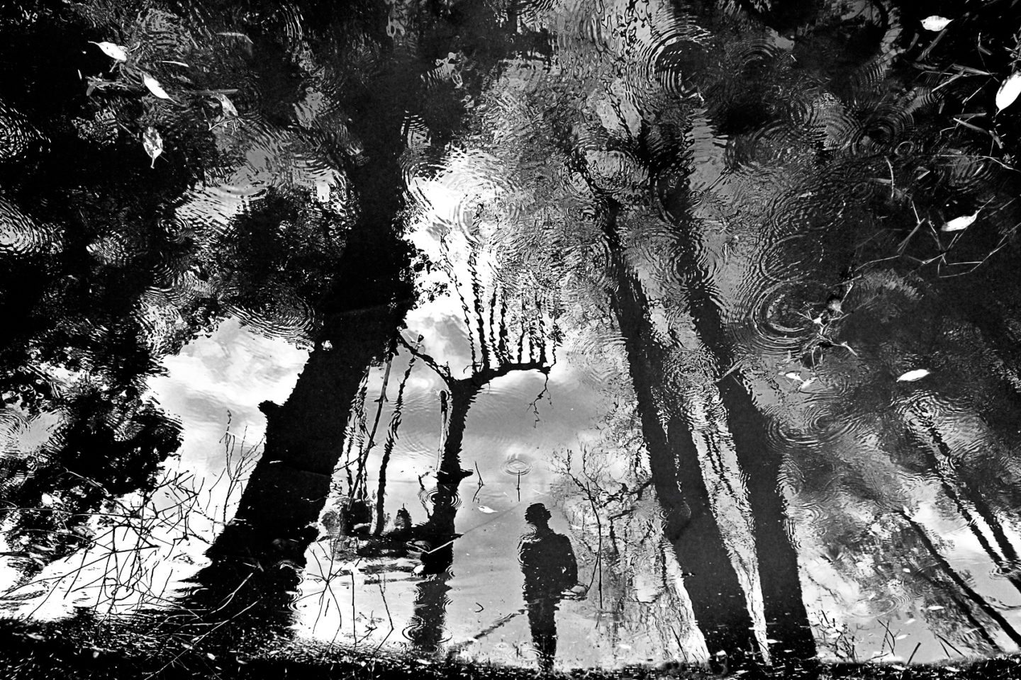 The Photography Of Henry Wessel Reminds Us To Stop, Observe, And ...