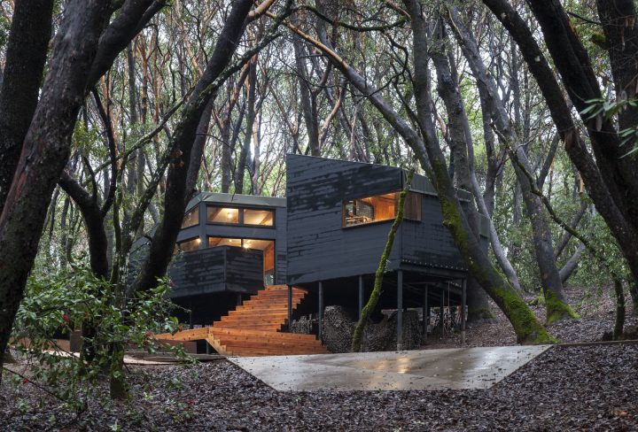 The Forest House In Northern California - IGNANT