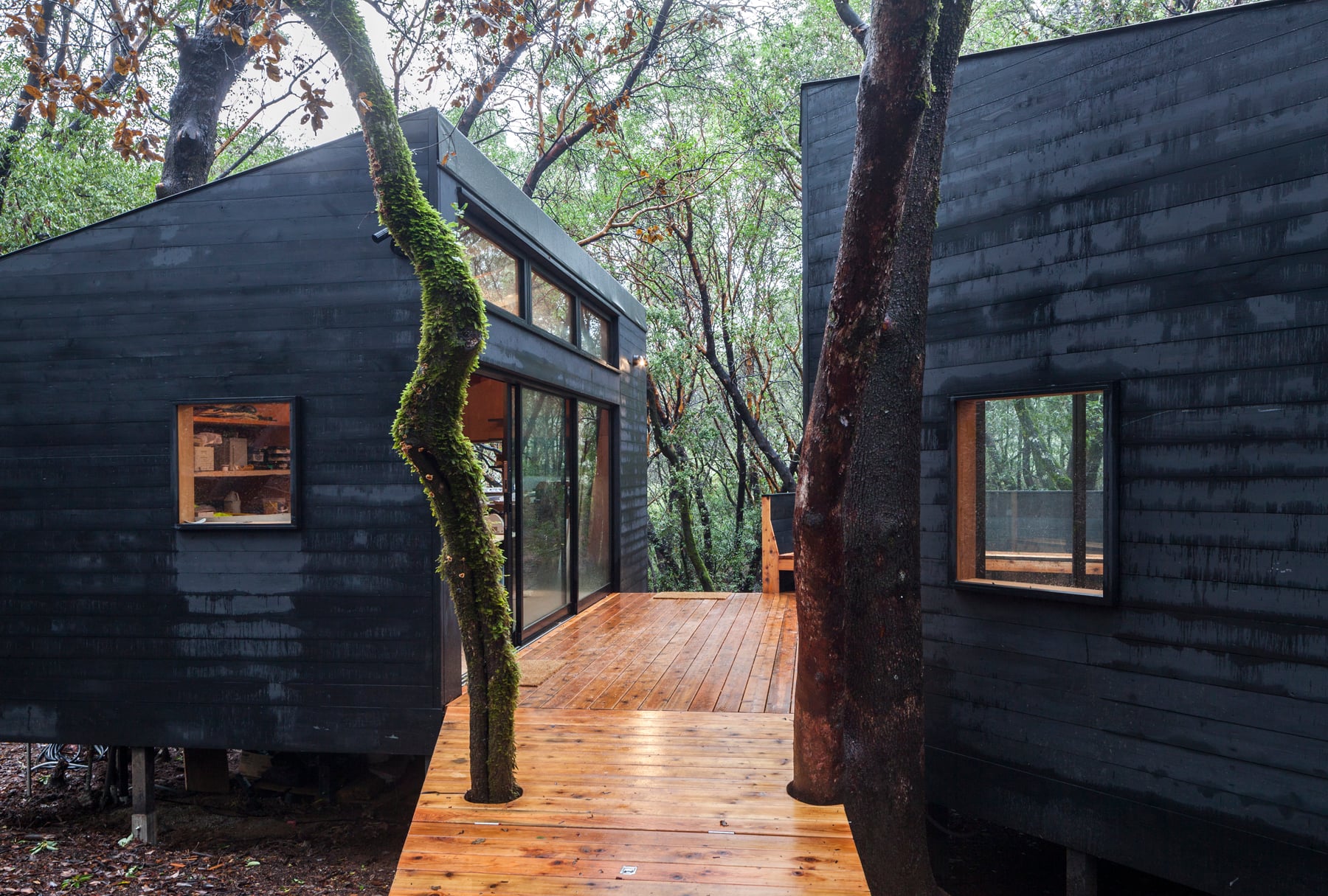 The Forest House In Northern California - IGNANT