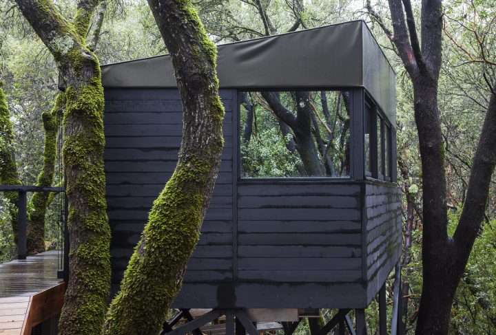 The Forest House In Northern California - IGNANT
