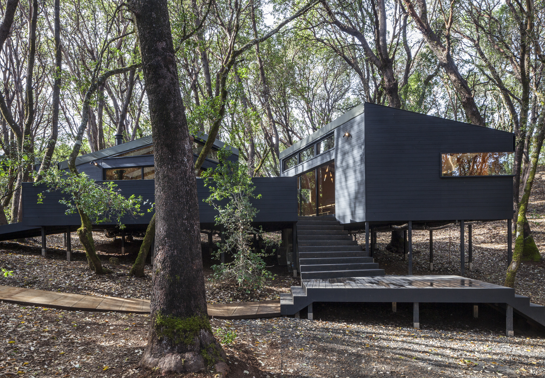 The Forest House In Northern California - IGNANT