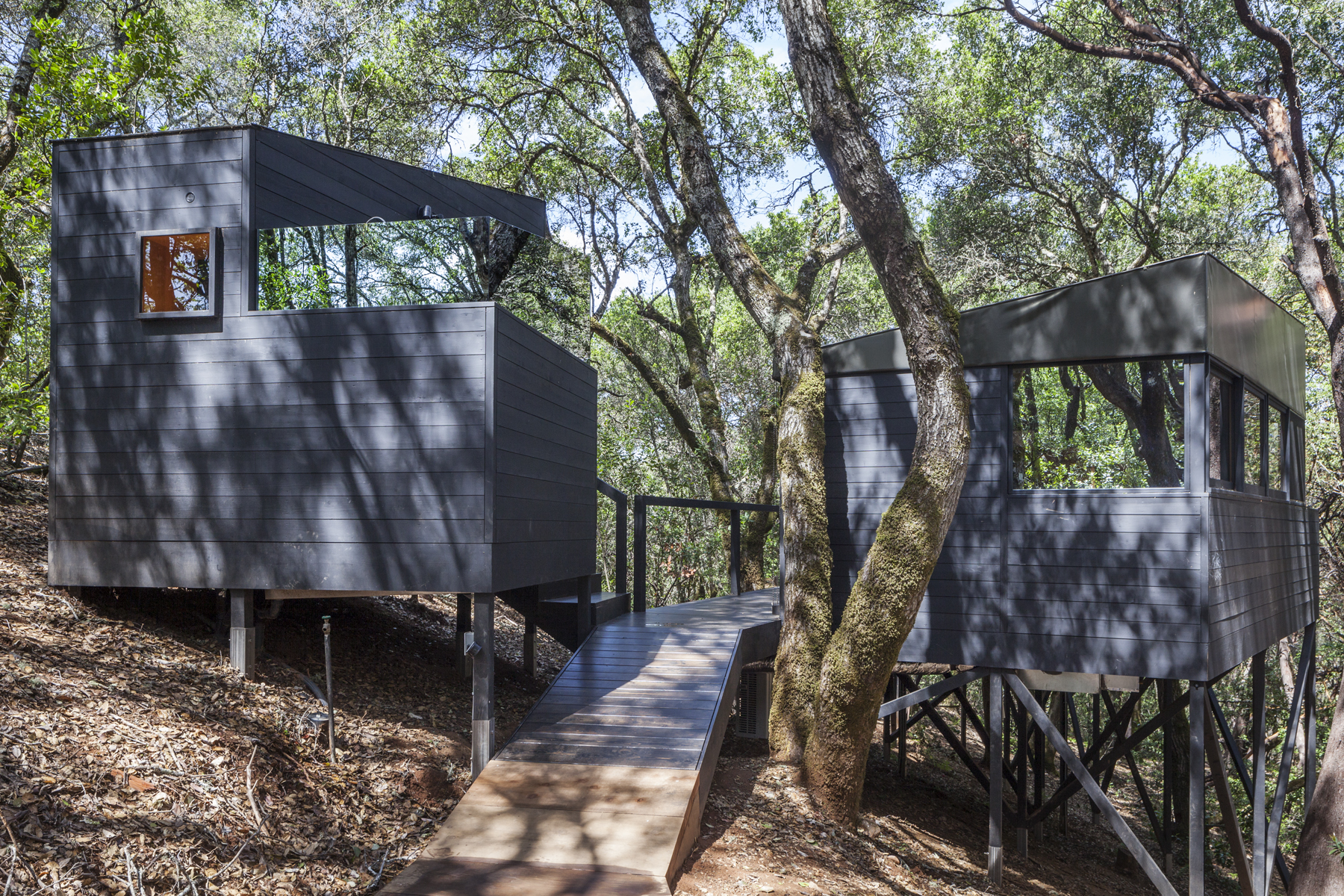The Forest House In Northern California - IGNANT