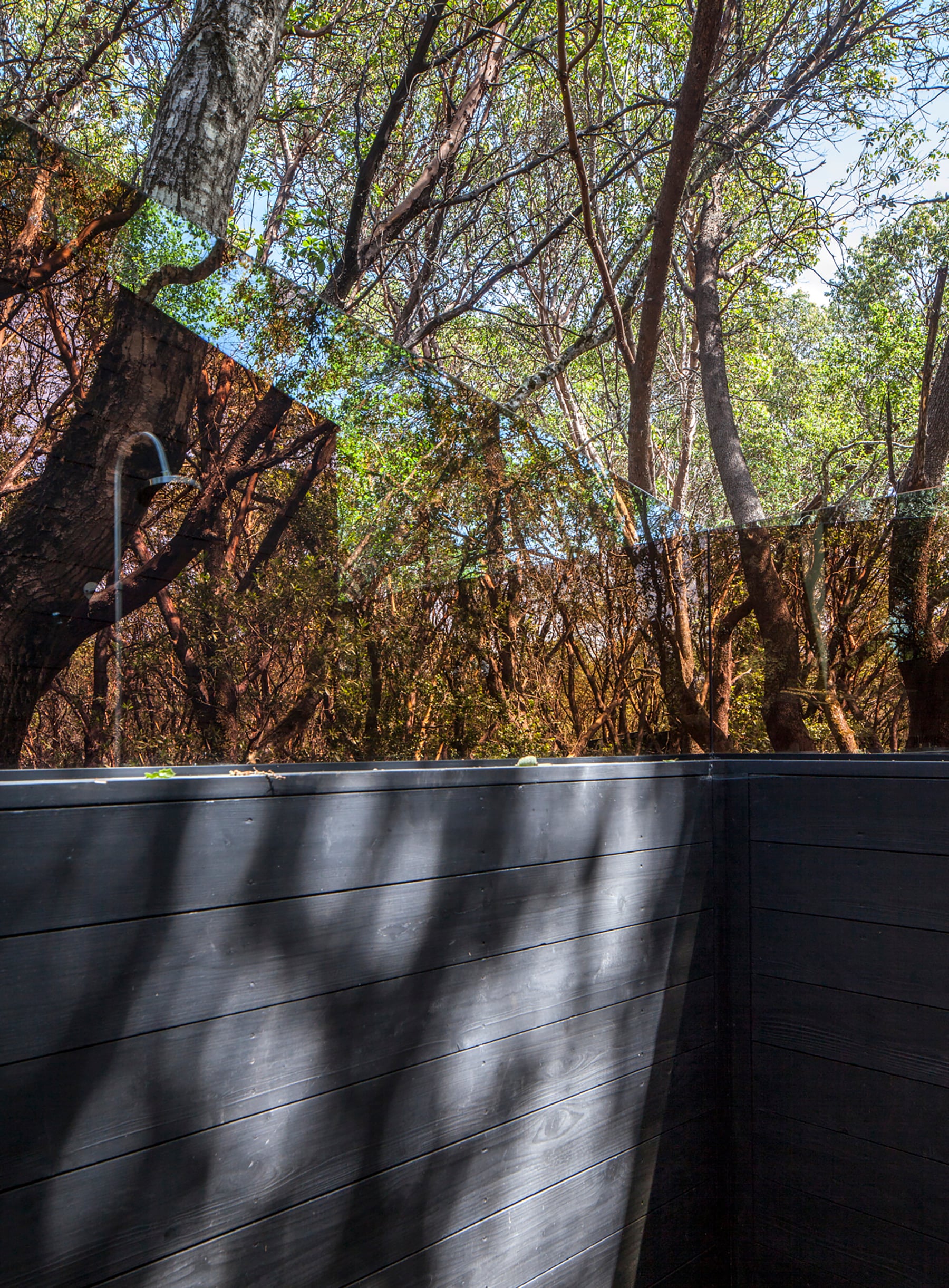 The Forest House In Northern California - IGNANT
