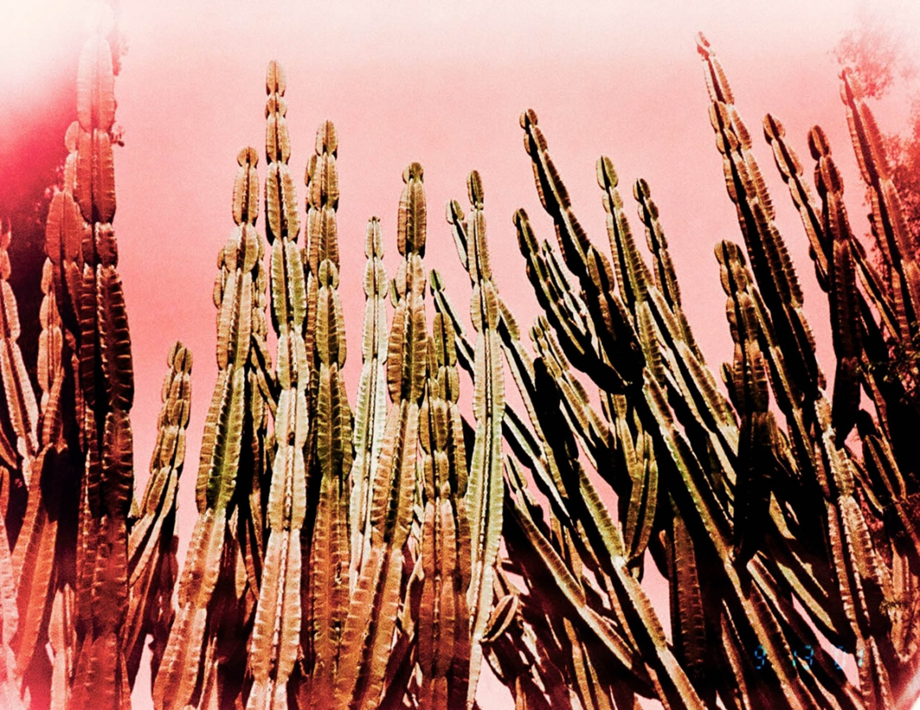 Kate Bellm Presents Surreal Scenes in Night Sky Rising - IGNANT