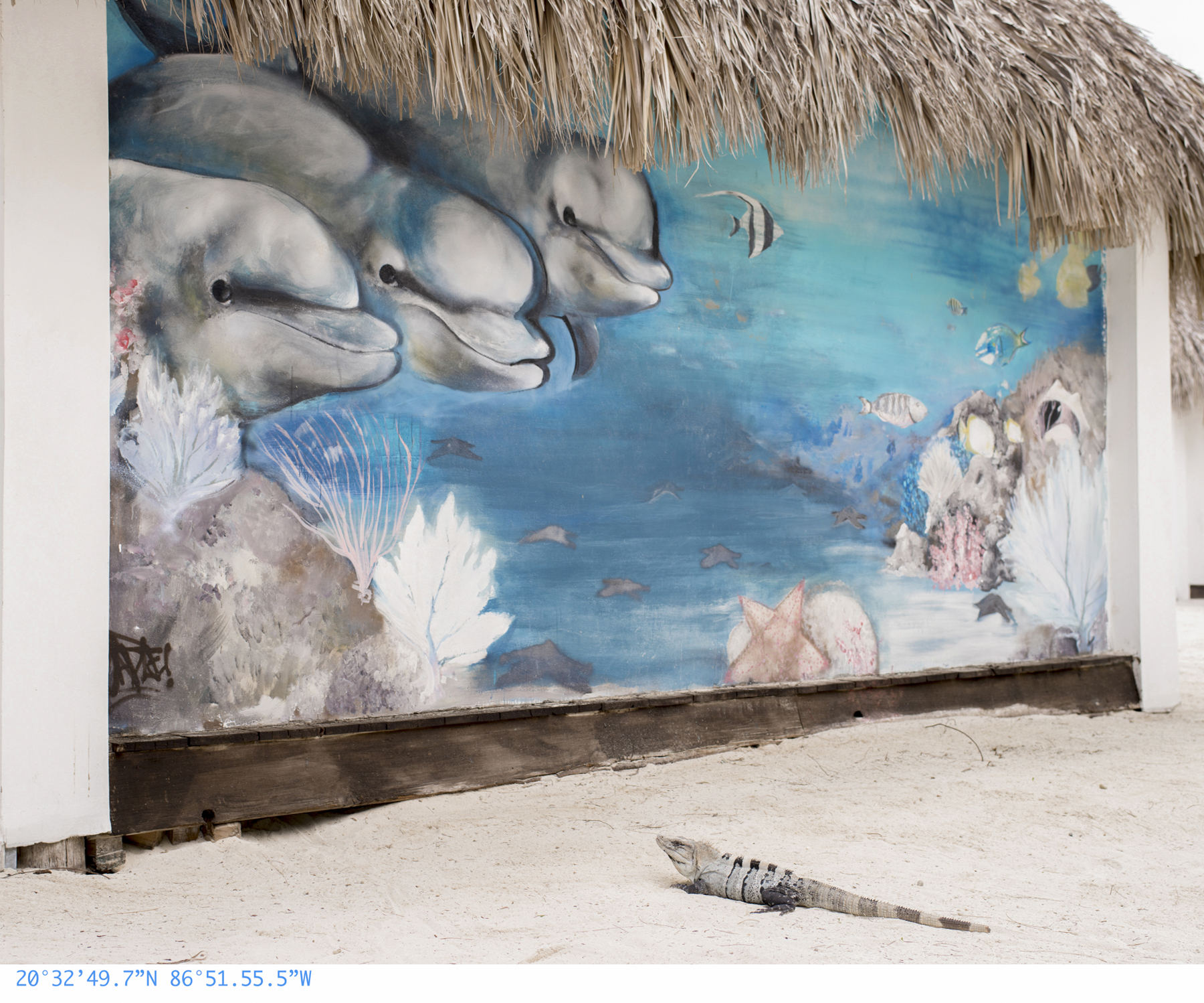 At Sea With Anna Beeke - IGNANT