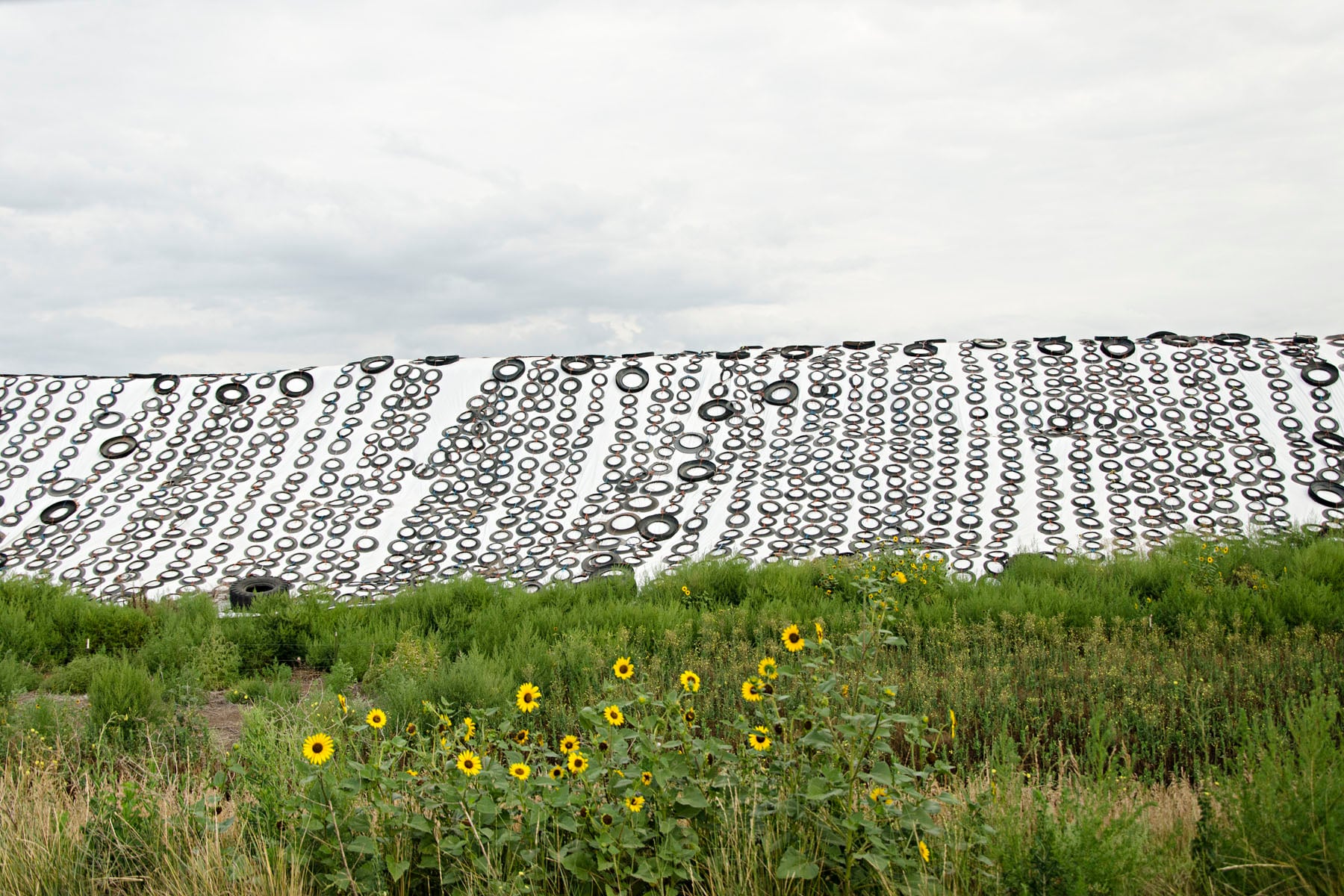 Paul Sisson Photographs A Different Kind Of American Epic - IGNANT