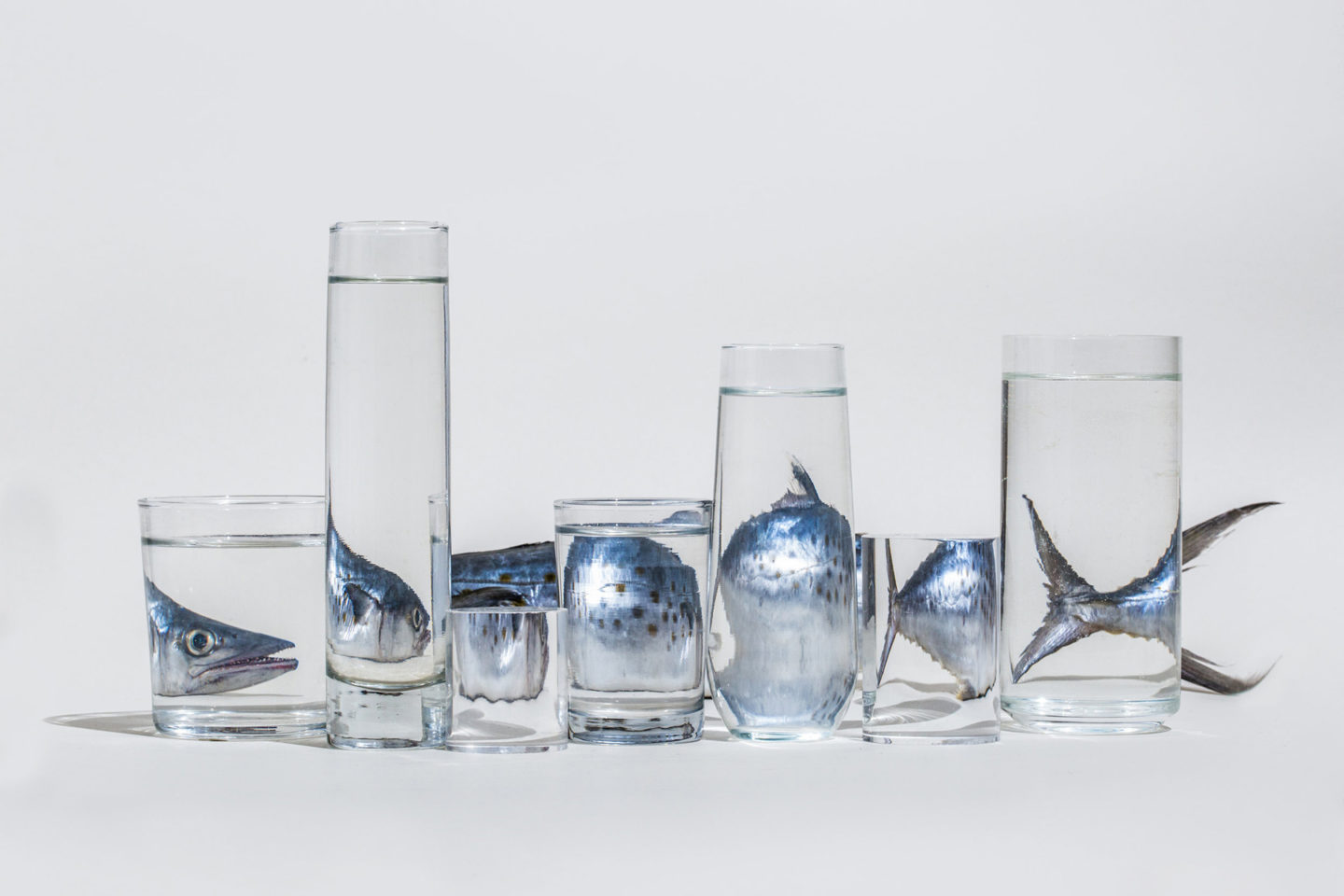 Dreamy Multiple Exposure Photography By Luke Gram - IGNANT