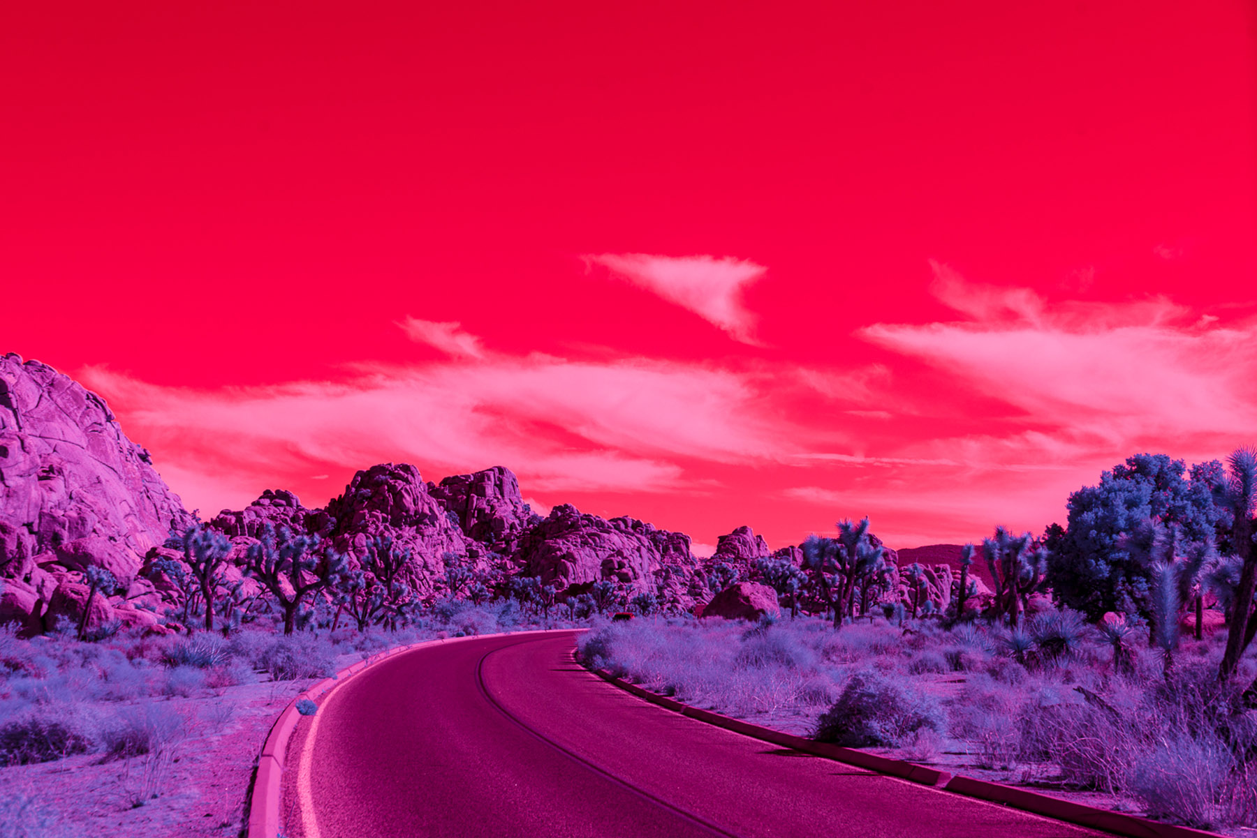 Palm Springs Through Kate Ballis’ Infrared Lens - IGNANT