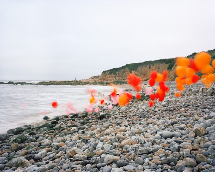 Emergent Behavior By Thomas Jackson - IGNANT